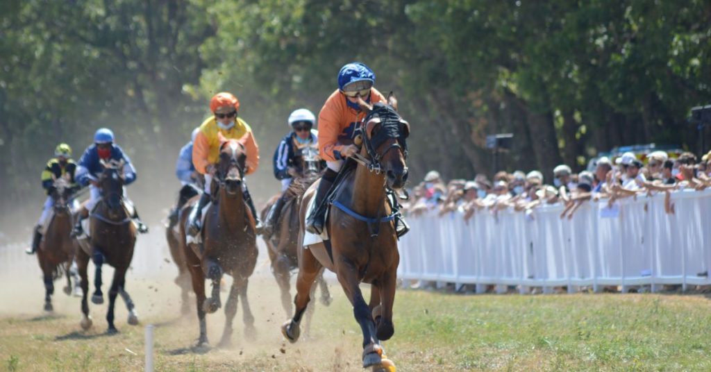 31 Types Of Horse Dream Meaning - National Equine