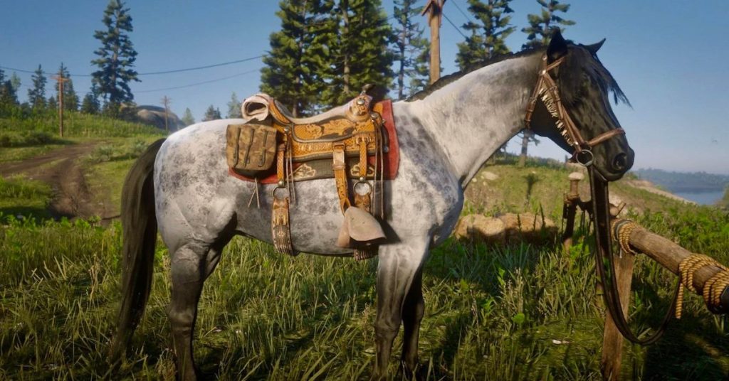 26 Common Horse Colors, Markings & Patterns - National Equine