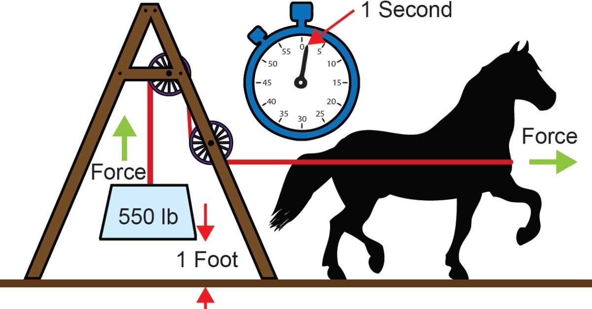 How Much Horsepower Does A Horse Have National Equine How Much Horsepower Does A Horse Have National Equine