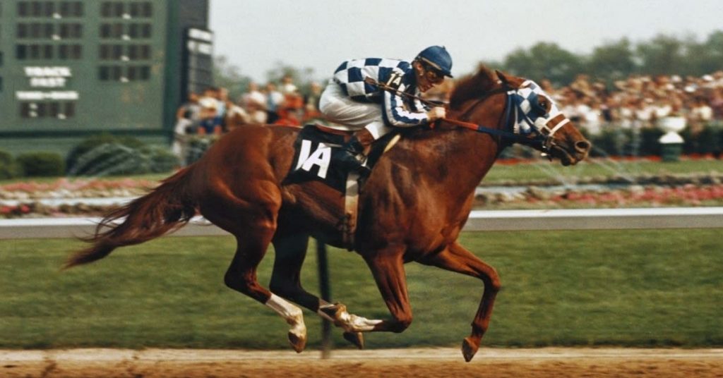 How Fast Can A Horse Run? - National Equine