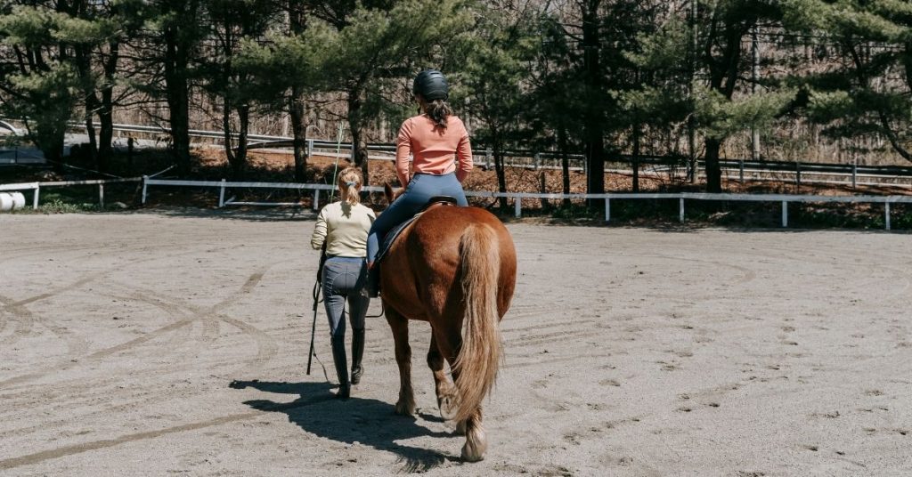 How Much Are Horse Riding Lessons? - National Equine