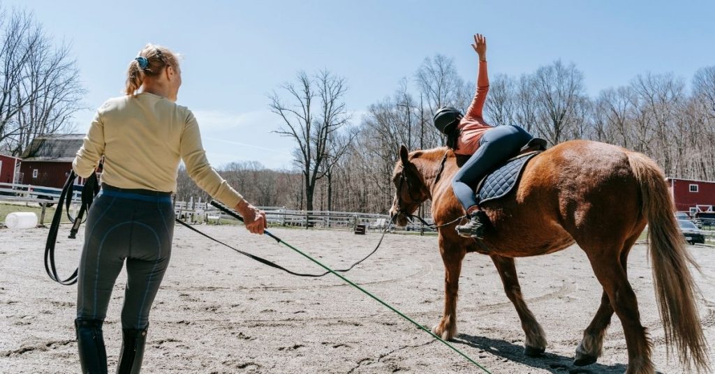 How Much Are Horse Riding Lessons? - National Equine